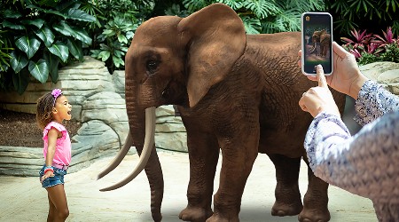 Tickets | Wildlife Rescue | Gaylord Opryland Tickets